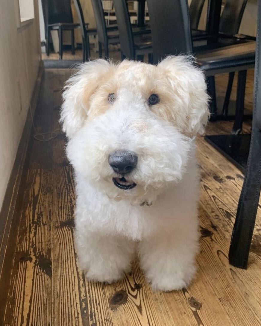 RDC 2023 Registration is OPEN! - Community & Events - Developer Forum | Roblox