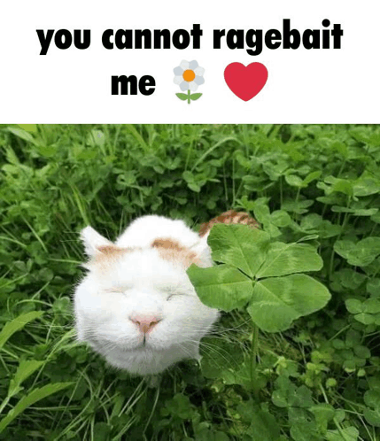 Age Requirements for DevForum & Community Forums - Page 31 ...