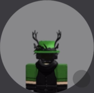 “In-Experience” status button is invisible on user’s profile picture ...