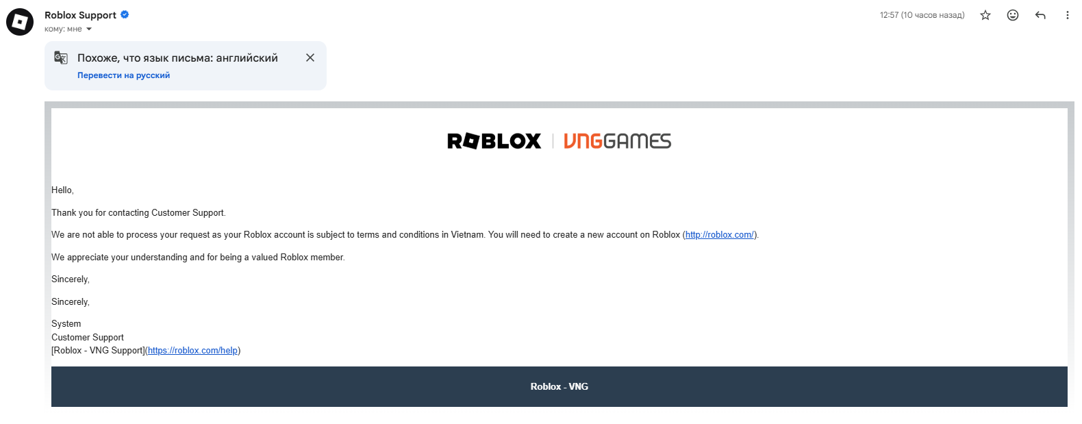 Roblox automatic AI VNG bot broke - Roblox Application and Website Bugs ...