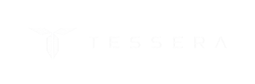 Tessera Game Engine - An Open Source Roblox Alternative - Community ...