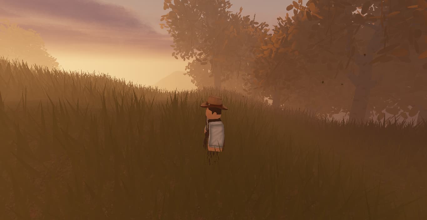 Camera Faces Wrong Direction Scripting Support Developer Forum Roblox